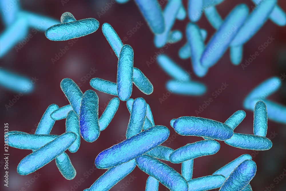 Bacteria Citrobacter, Gram-negative coliform bacteria from ...