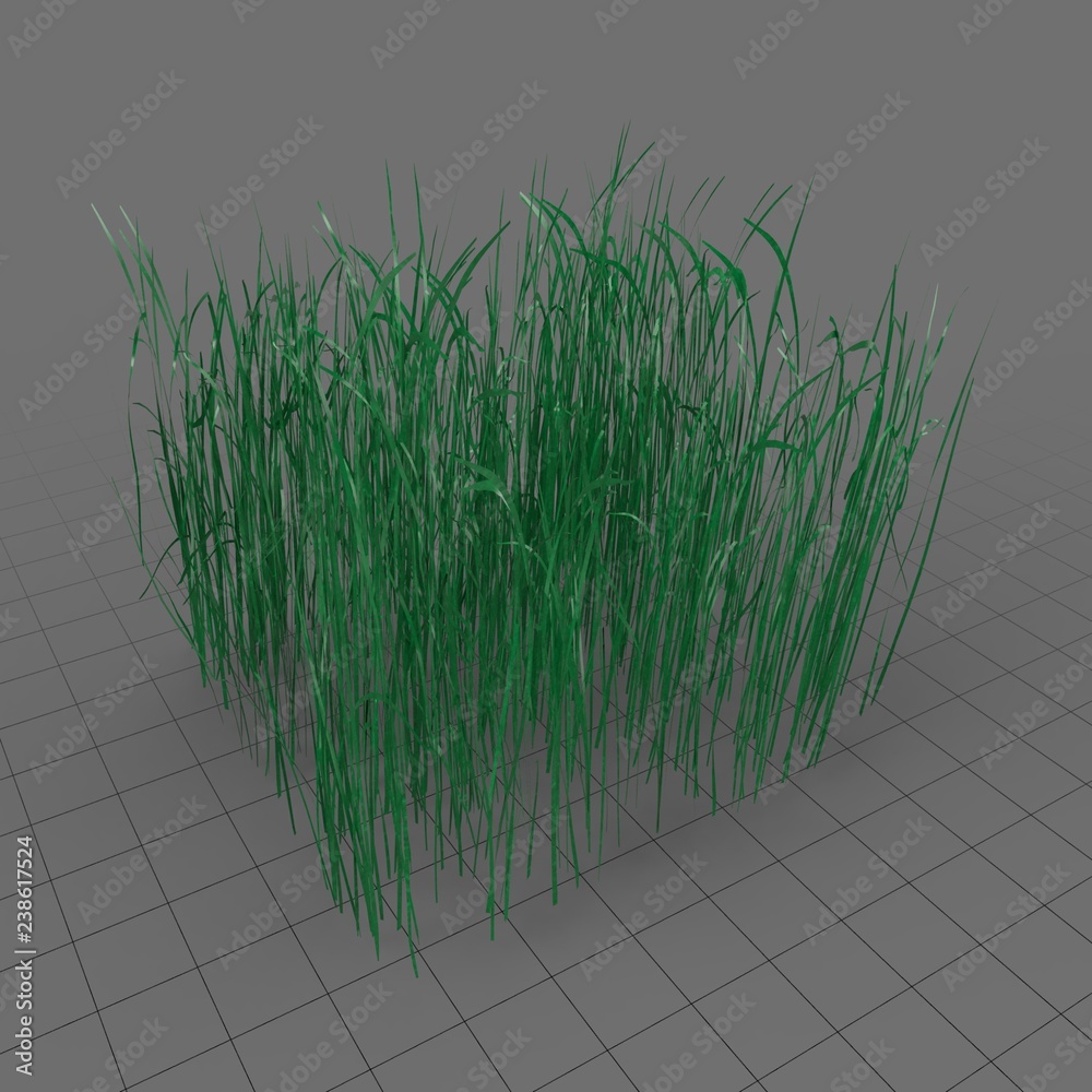 Patch of grass Stock 3D asset | Adobe Stock
