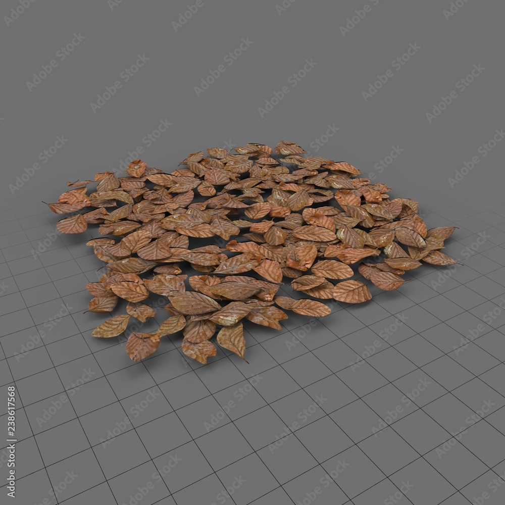 Dead leaves Stock 3D asset | Adobe Stock