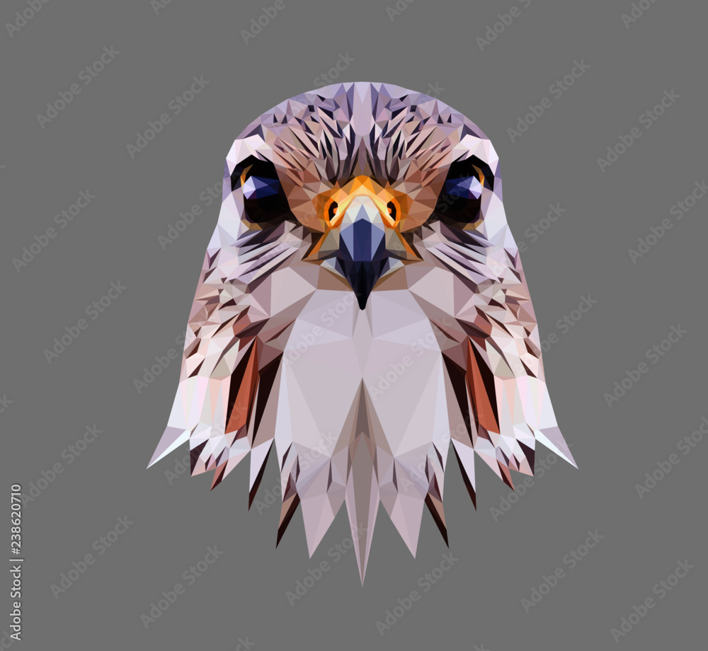 Falcon head on grey background, low poly triangular and wireframe ...
