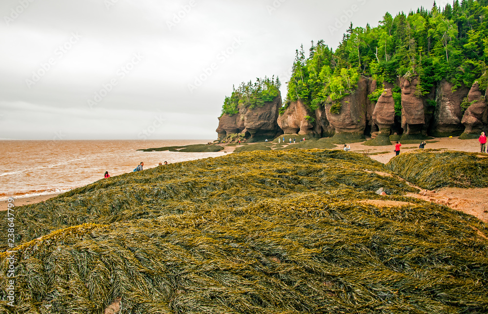 Foto de The Bay of Fundy in Canada with the highest tides on earth is ...