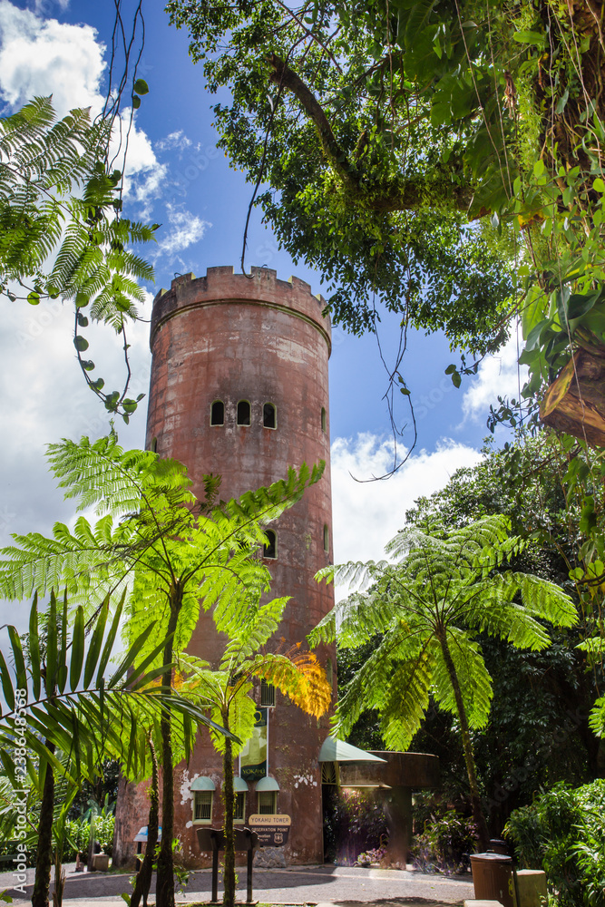 El Yunque Rainforest in Puerto Rico Yokahu Observation tower Stock-Foto ...