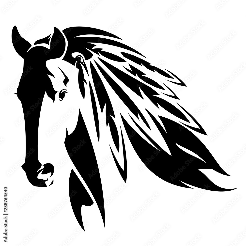 wild mustang horse with feathers in mane - native american spirit ...