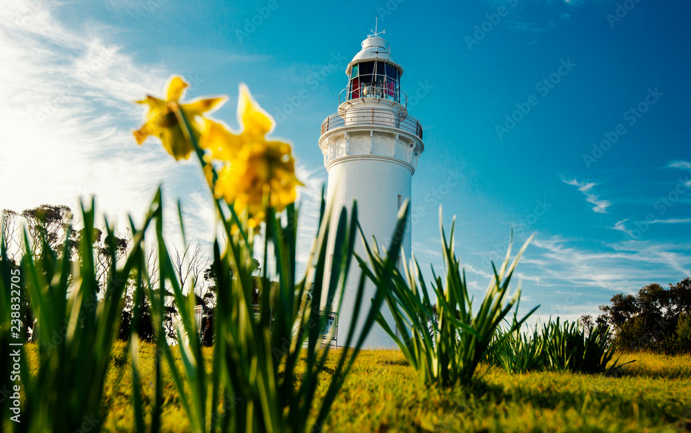 Beautiful Table Cape Lighthouse in Tasmania on a nice summers day ...