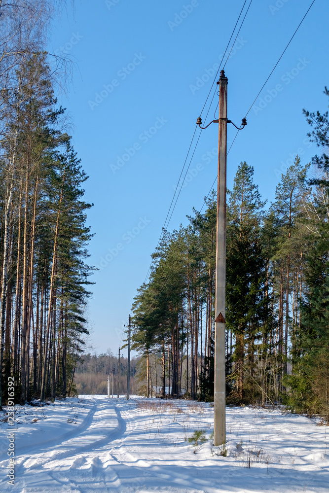 Overhead power line and tower of 10 kV in the forest. The line is the ...
