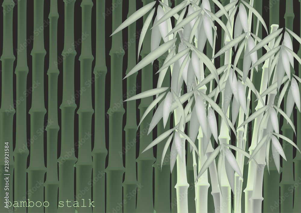 Abstract background of bamboo trees. Bamboo stalks. Vector illustration ...