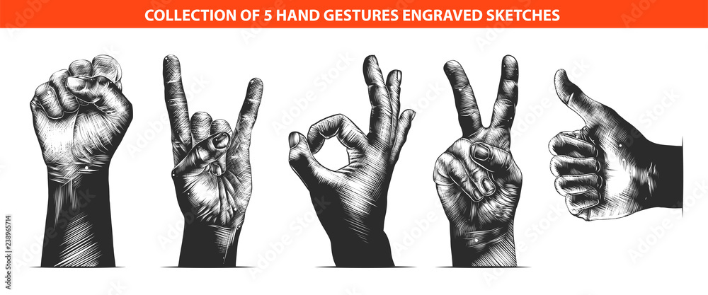 Vector engraved style hand gestures collection for posters, decoration ...