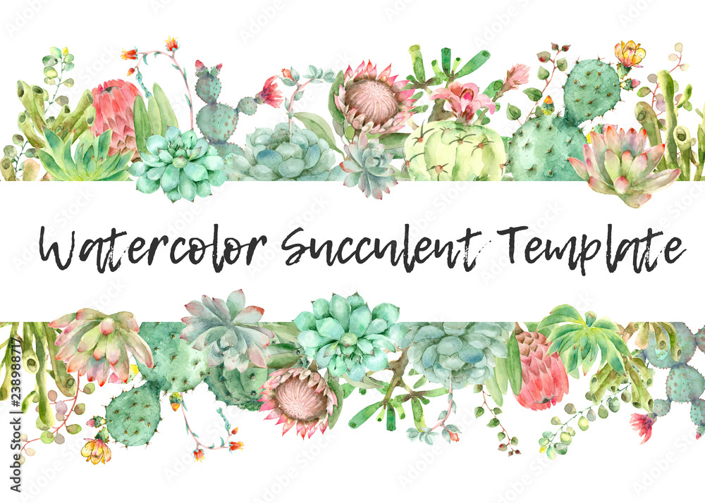 Succulents banner watercolor Stock Illustration | Adobe Stock