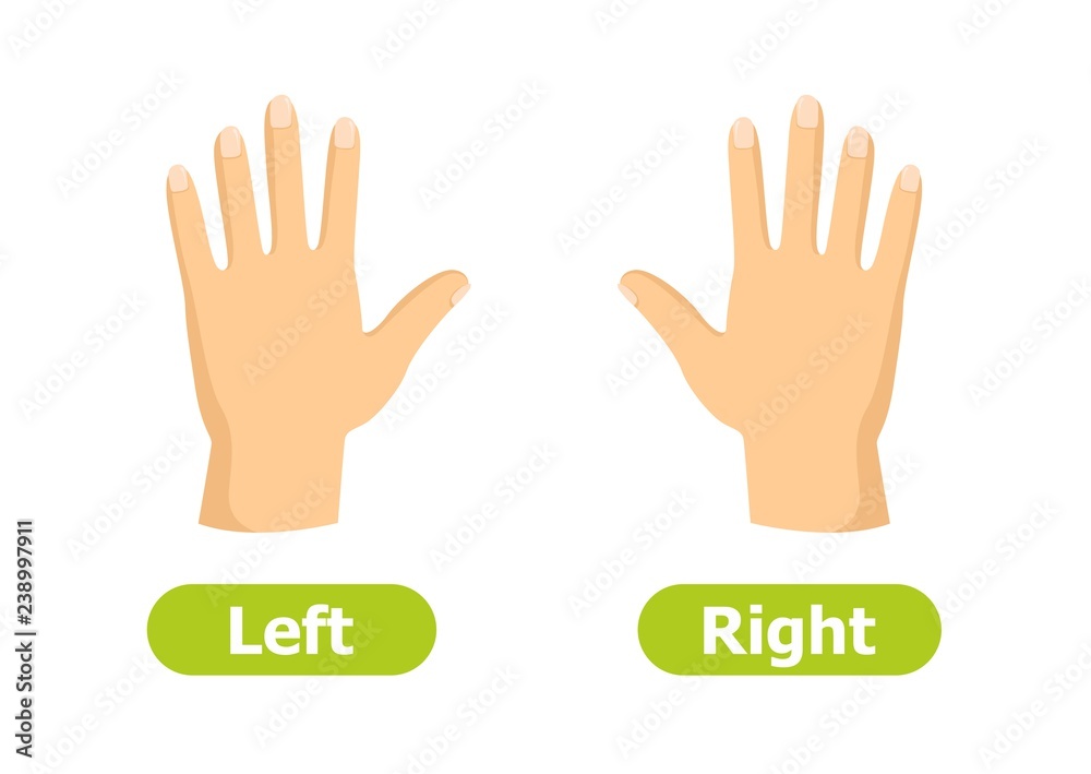 Vector antonyms and opposites. Left and Right. Illustrations on white ...