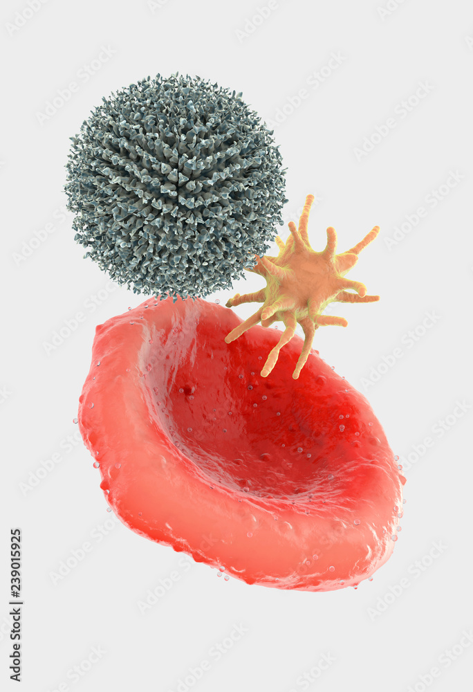 3d illustration of very closely observed red, called erythrocytes ...
