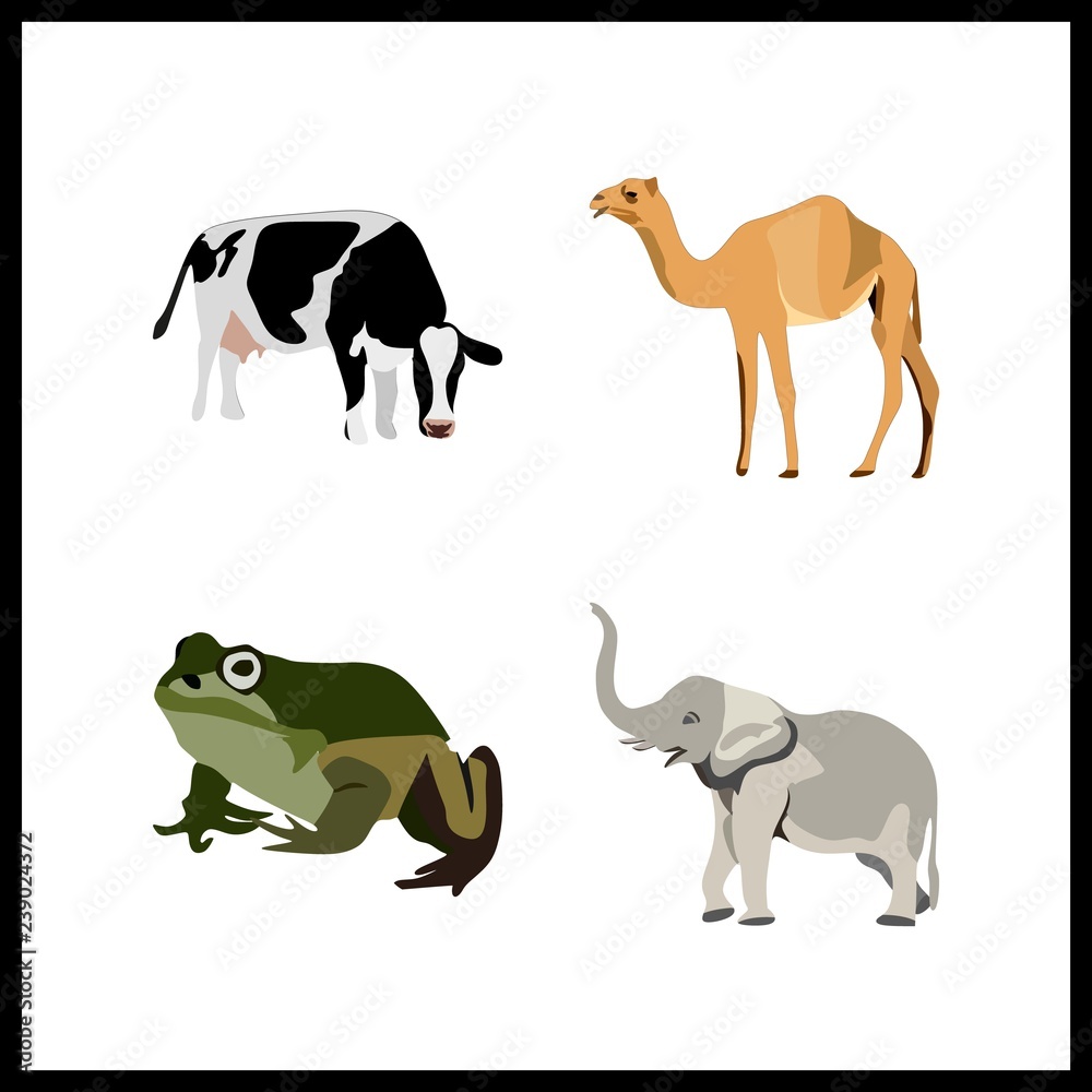 4 funny icon. Vector illustration funny set. camel and frog icons for ...
