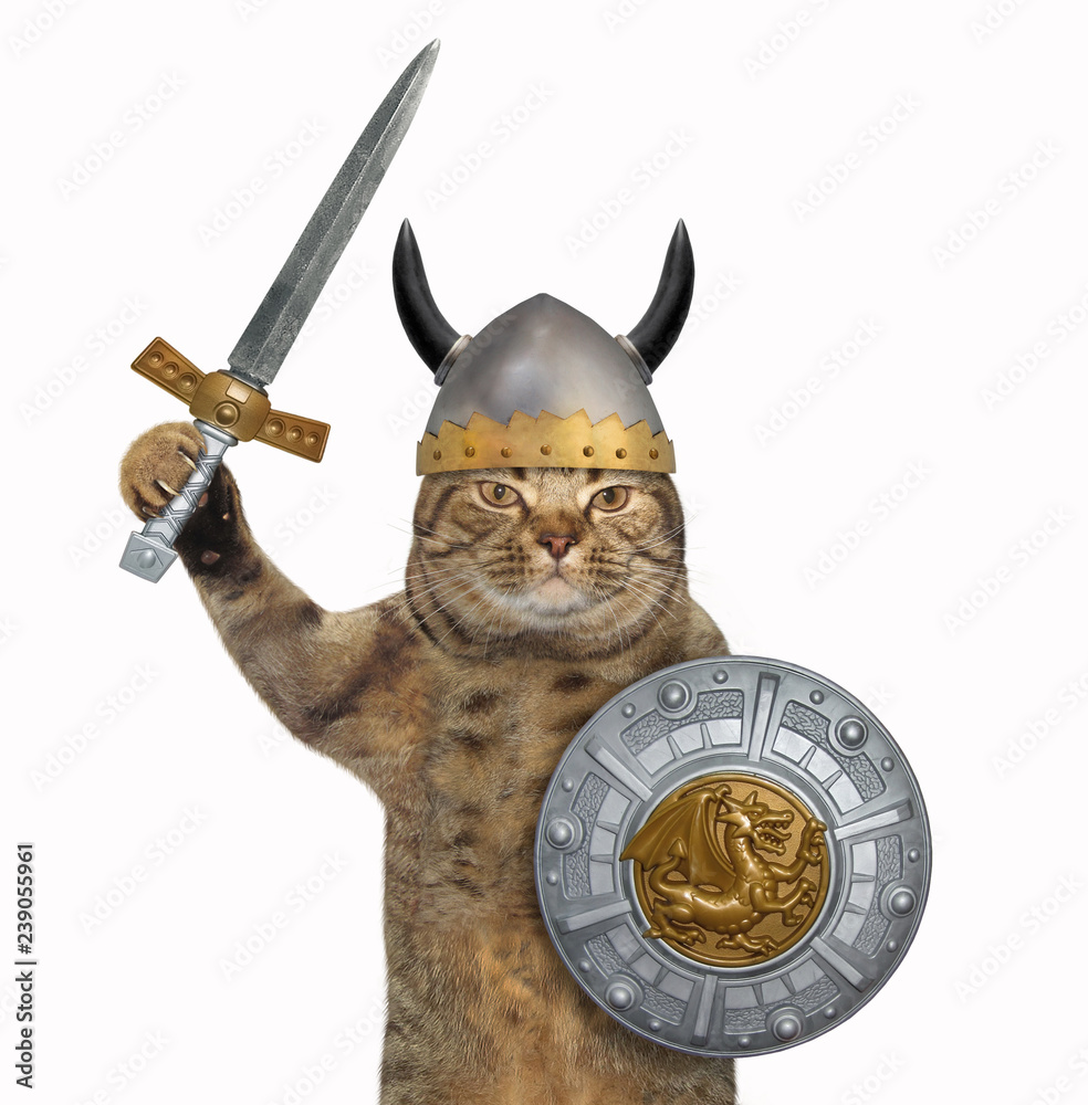 The cat viking in a helmet with horns holds a sword and a round shield ...