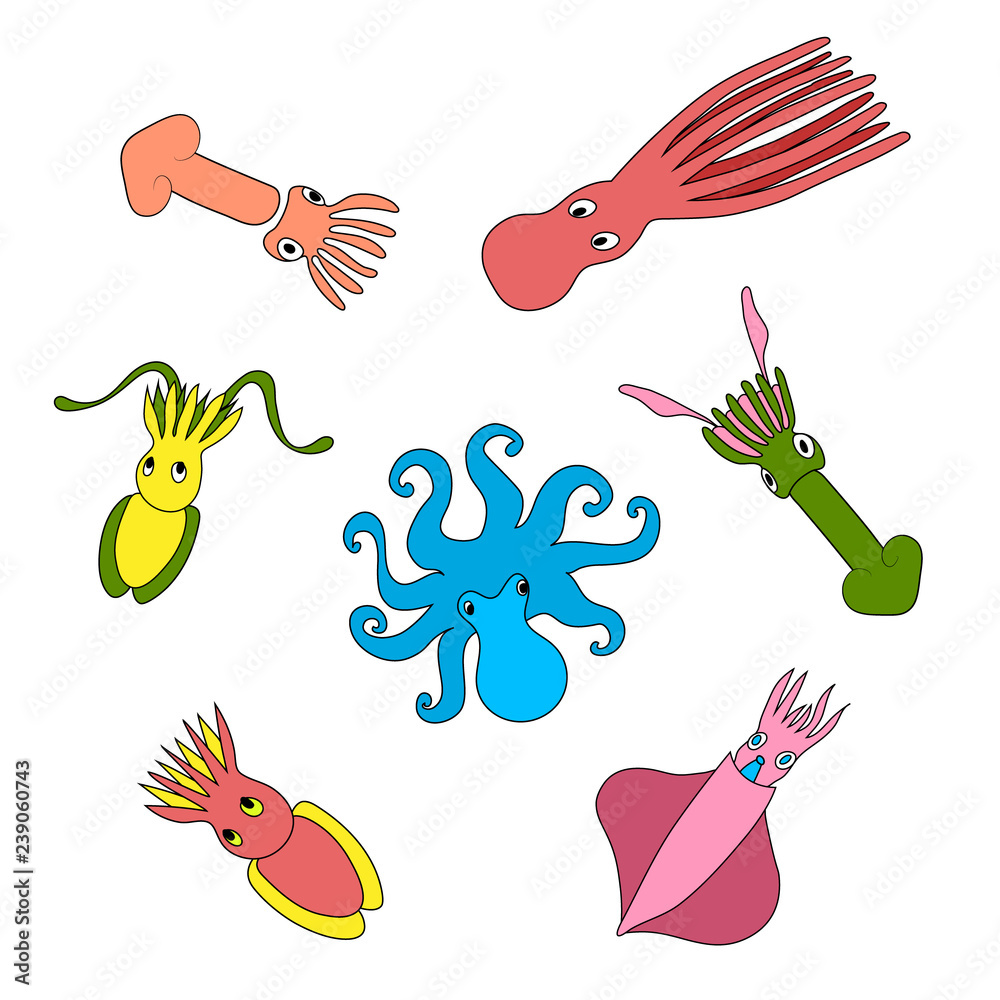 Set of cute sea cephalopods. Color vector hand drawing illustration ...