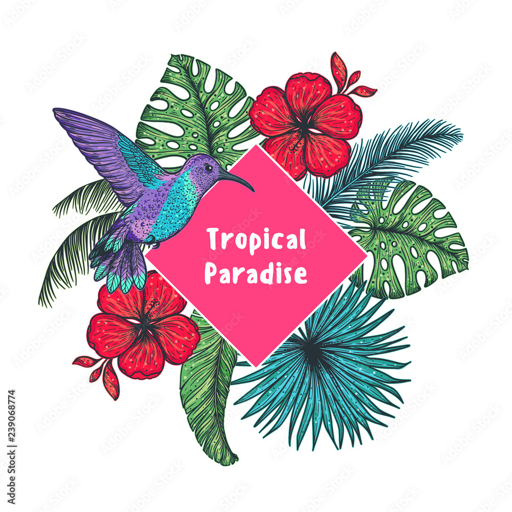 Tropical design template. Colibri and palm leaves vector illustration ...