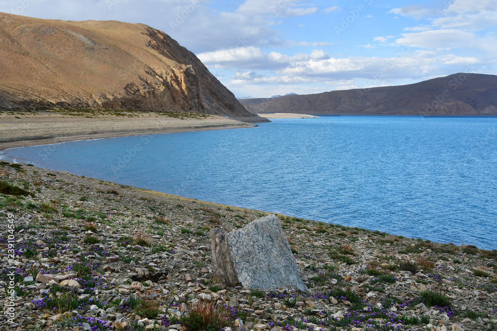 Foto de The store of Holy Rakshas Tal lake, Western Tibet, China. This ...