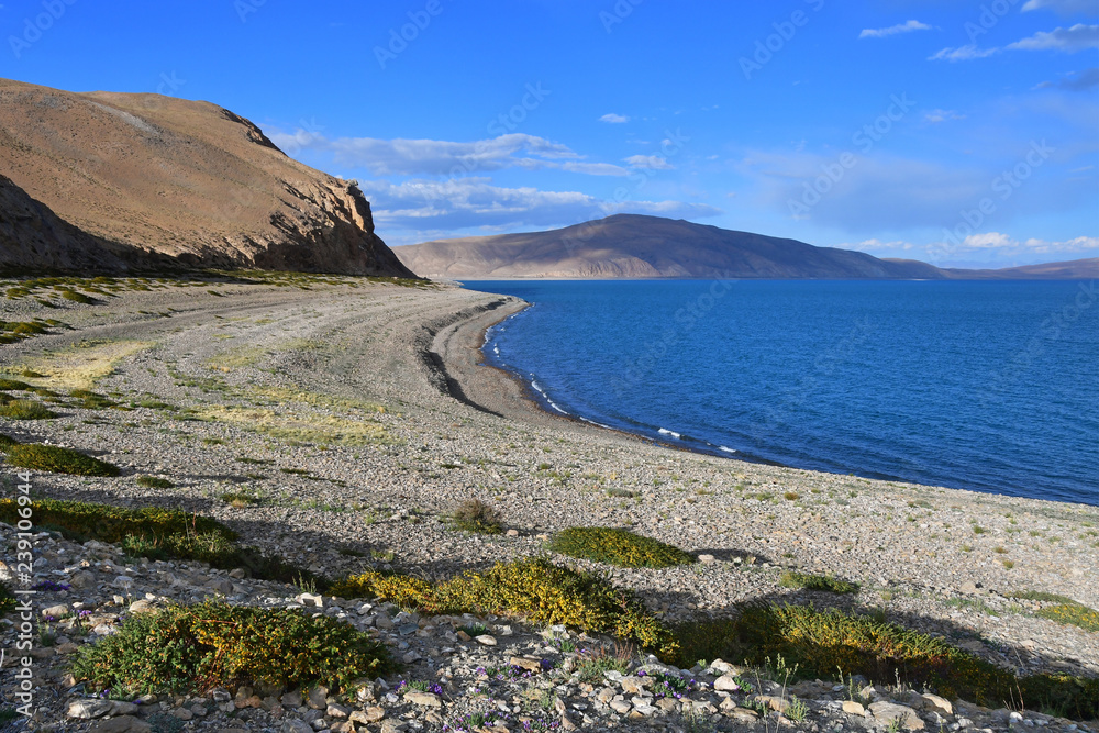 Foto de The store of Holy Rakshas Tal lake, Western Tibet, China. This ...