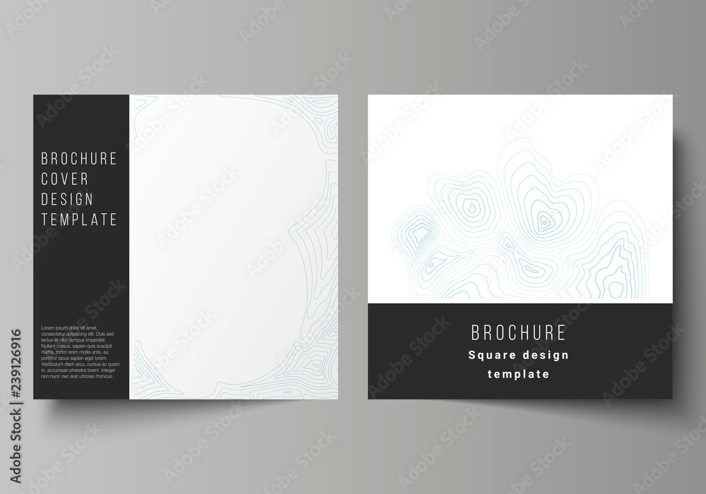 The Minimal Vector Illustration Of Editable Layout Of Two Square Format