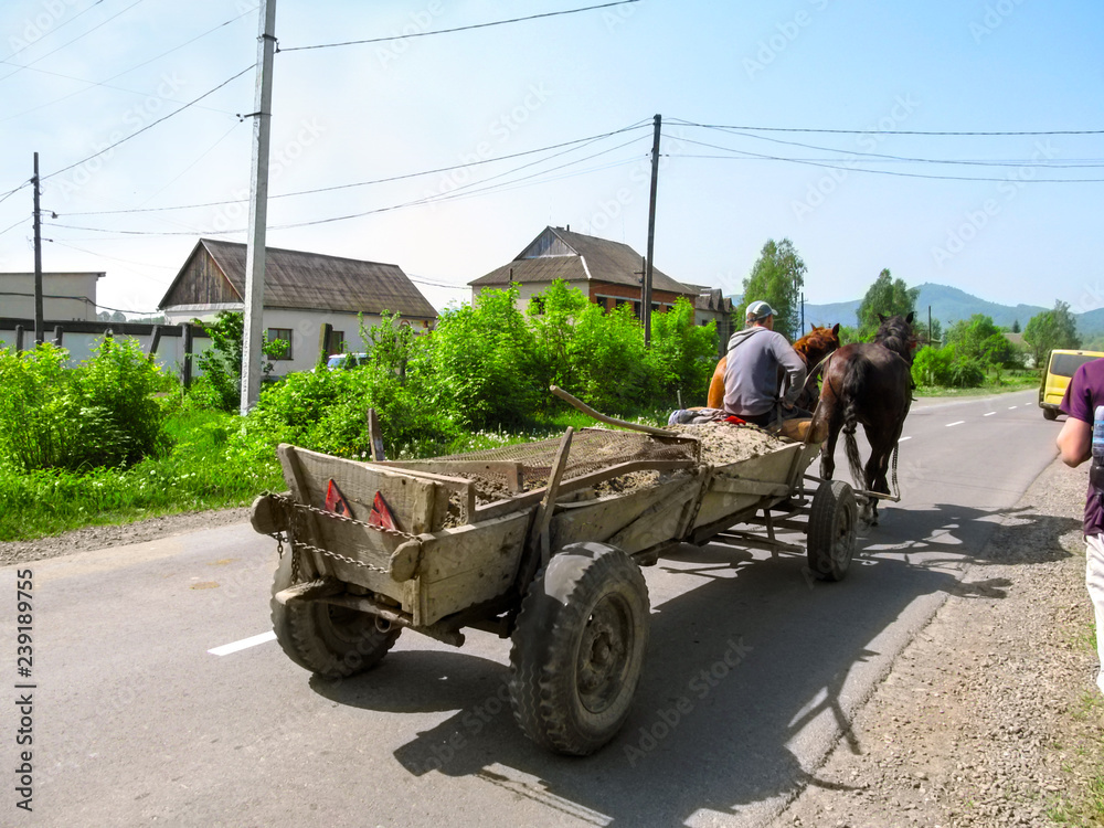Ukraine, Khust - May 1, 2018: A cart pulled by two horses rides on a ...