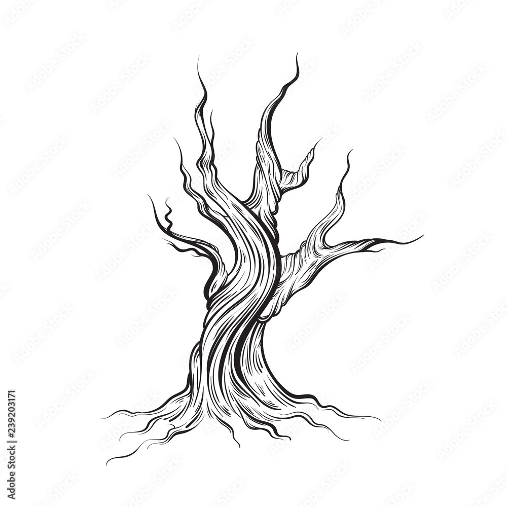 Vector illustration of dead tree made in hand drawn style. Line hand ...