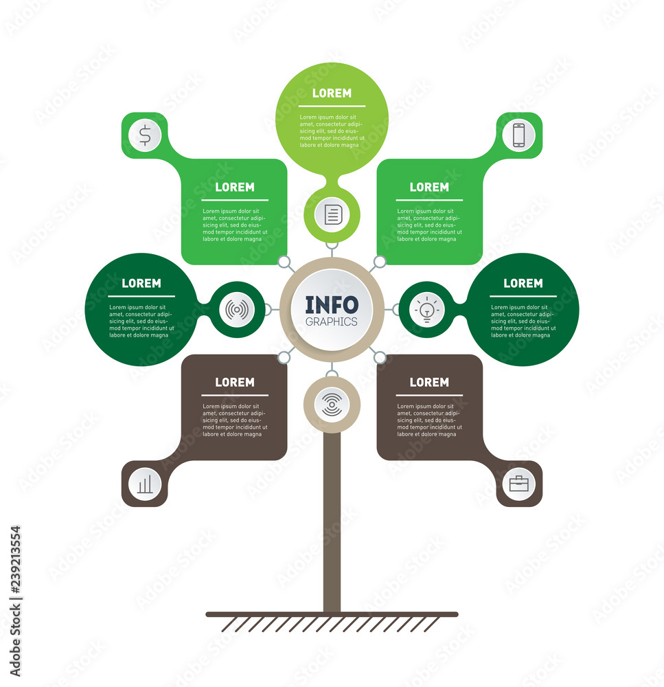Vertical infographics. Tree of development and growth of the green ...