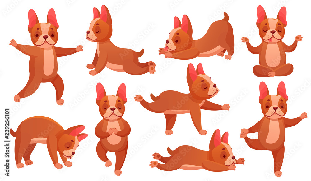 Relax yoga dog. Animal sport fitness training, dogs doing healthy ...