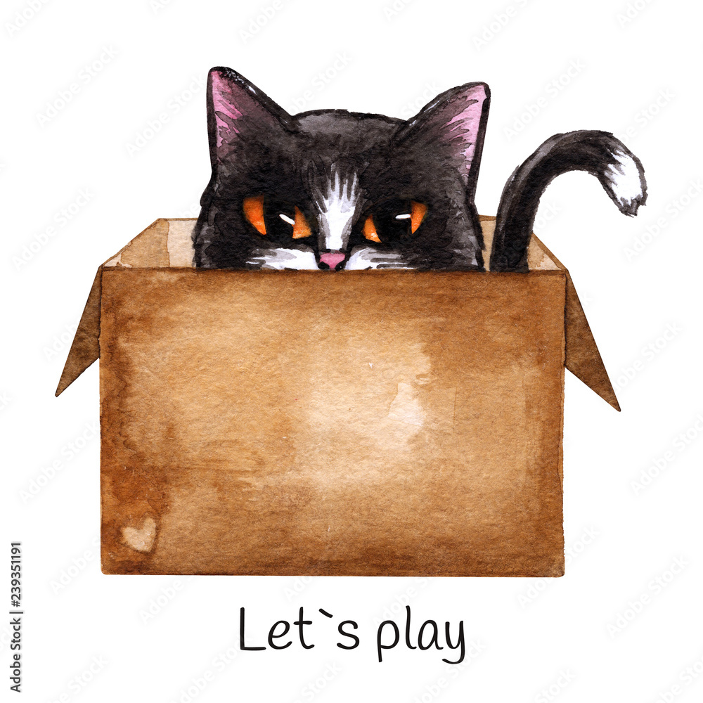 Cute kitten in carton box, cute cat. Brown paper container. Hand drawn ...
