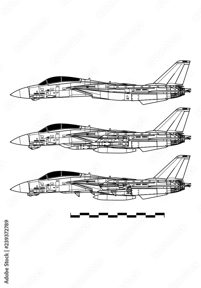 Grumman F-14 TOMCAT. Outline drawing Stock Vector | Adobe Stock