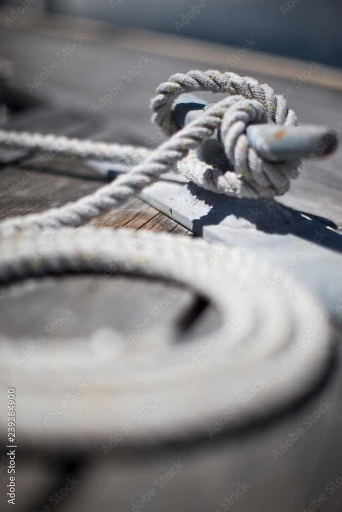 Rope around an anchor. Stock Photo | Adobe Stock