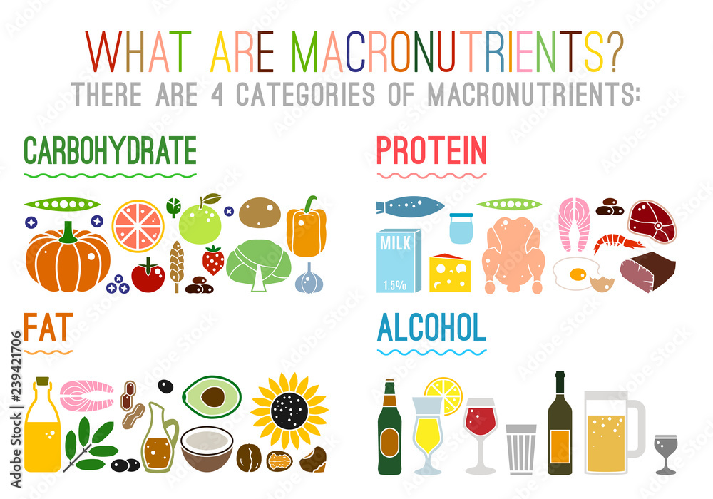 Main food groups macronutrients Stock Vector | Adobe Stock