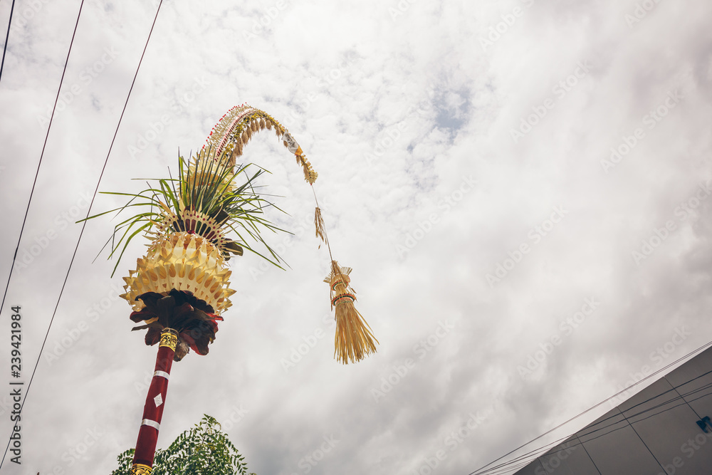 The penjor is a tall, curved bamboo pole decorated with coconut leaves ...