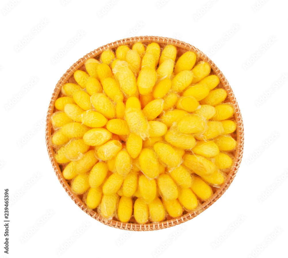 Top view gold silkworm net cocoons group in basket isolated on white ...