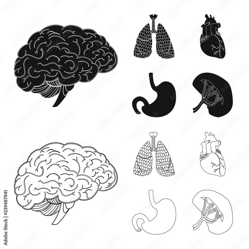 Vector illustration of body and human icon. Collection of body and ...