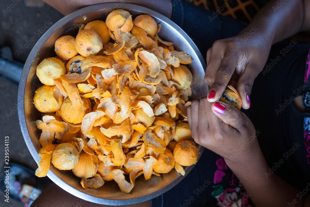 Woman hands peeling fruit "Tucumã" and metal bowl full of fruits in a ...