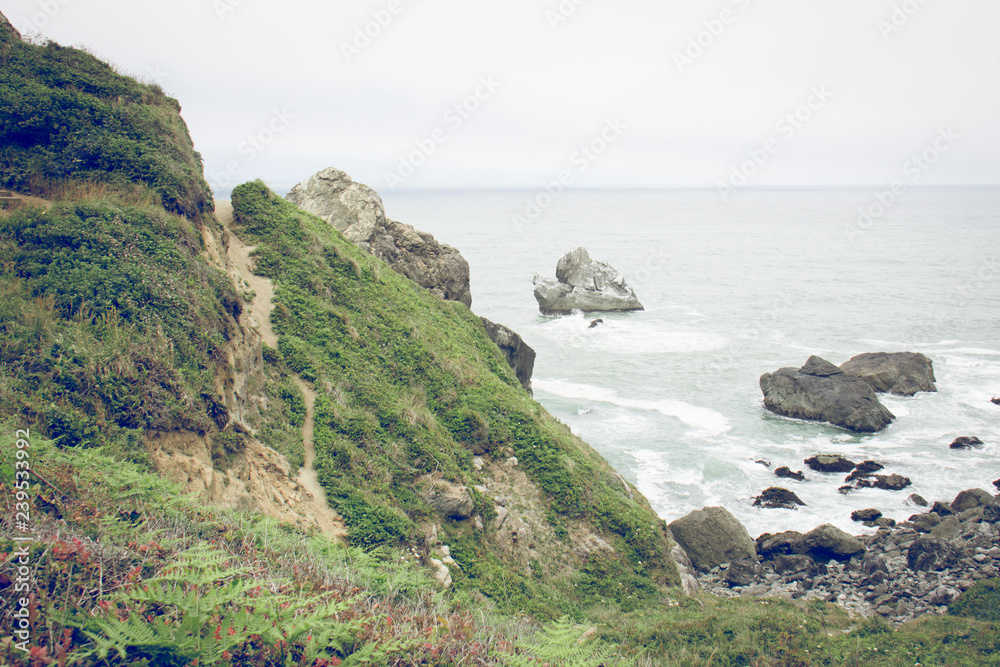 patricks point state park