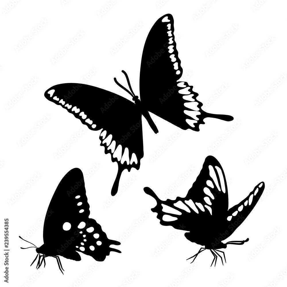 Black Silhouettes Butterflies Isolated White Background Stickers Stock