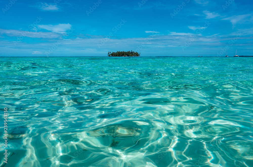 Little island with palms between water surface Stock Photo | Adobe Stock