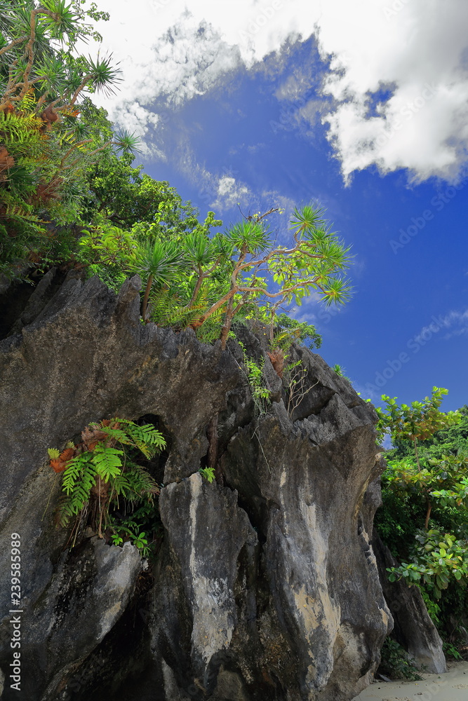 Limestone cliffs-karstic relief on the beach. Cudugnon Point Cave-El ...