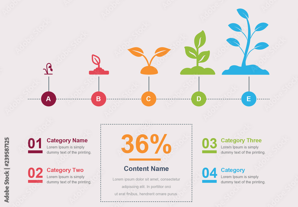 Tree Infographic Layout Stock Template | Adobe Stock