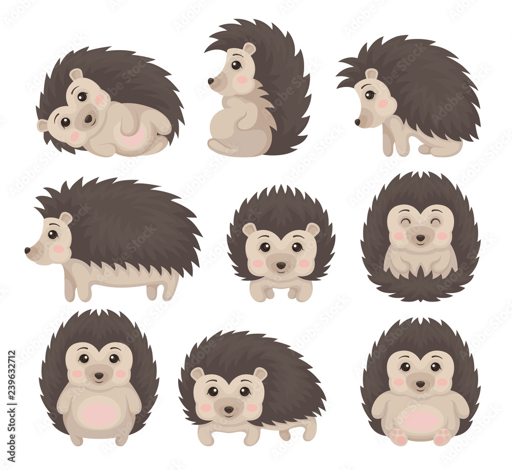 Cute hedgehog in various poses set, lovely prickly animal cartoon ...