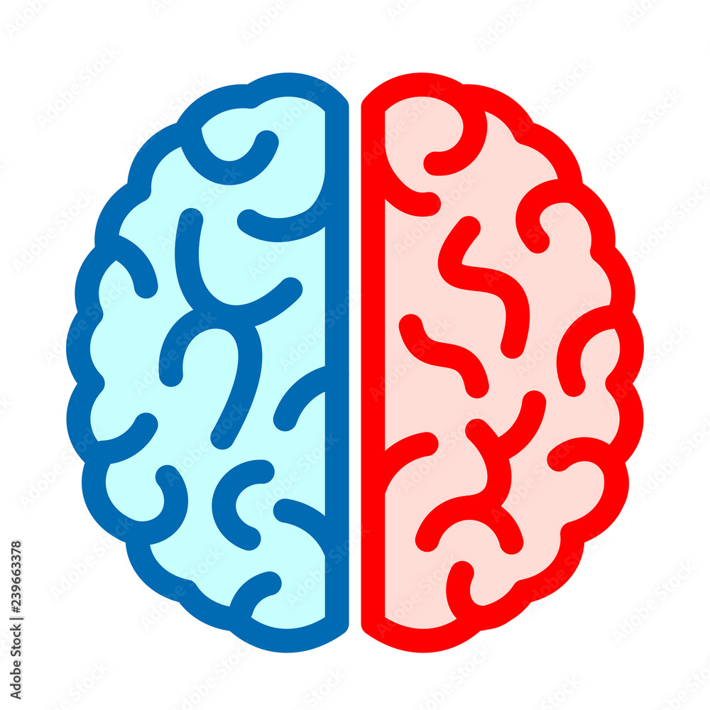 Left and right brain vector icon Stock Vector | Adobe Stock