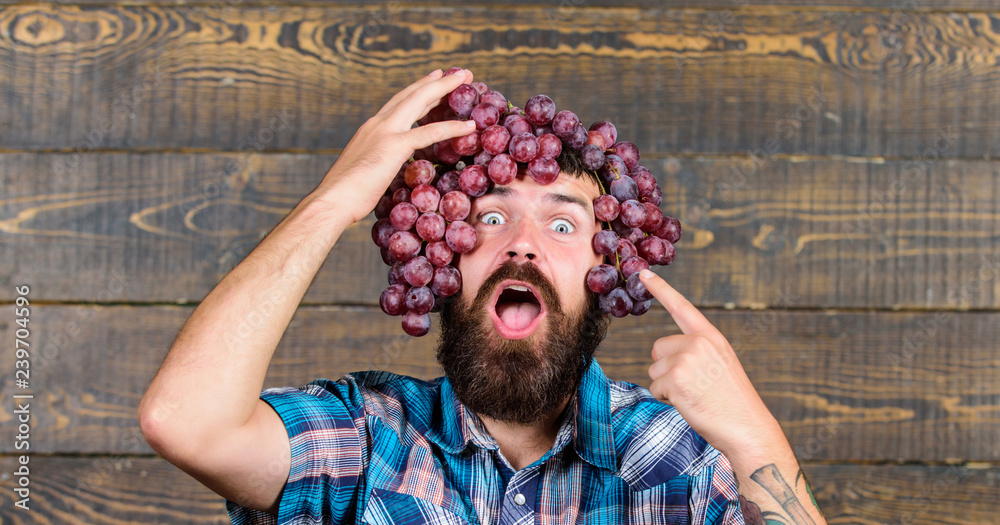 Fresh organic harvest. Grapes from own garden. Farming concept. Man ...
