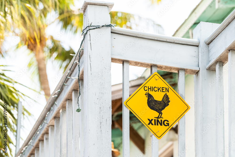 Yellow road, street, traffic caution warning sign with chicken, hen ...