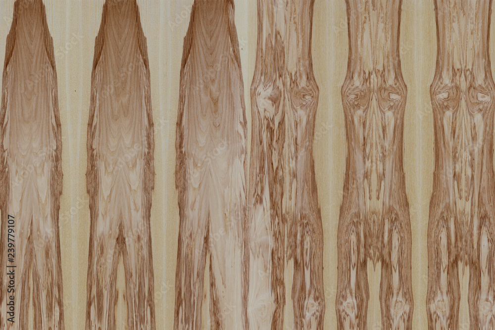 light brown ash-tree timber tree wood structure texture background ...