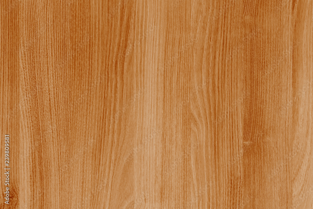 acacia timber tree wooden surface wallpaper structure texture ...