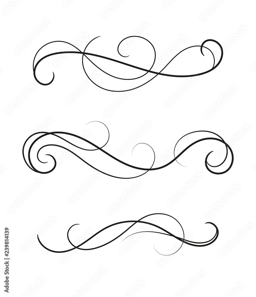 Curly Line Divider