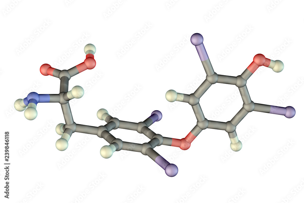 Molecule of thyroxine, T4, a hormone produced by thyroid gland, 3D ...