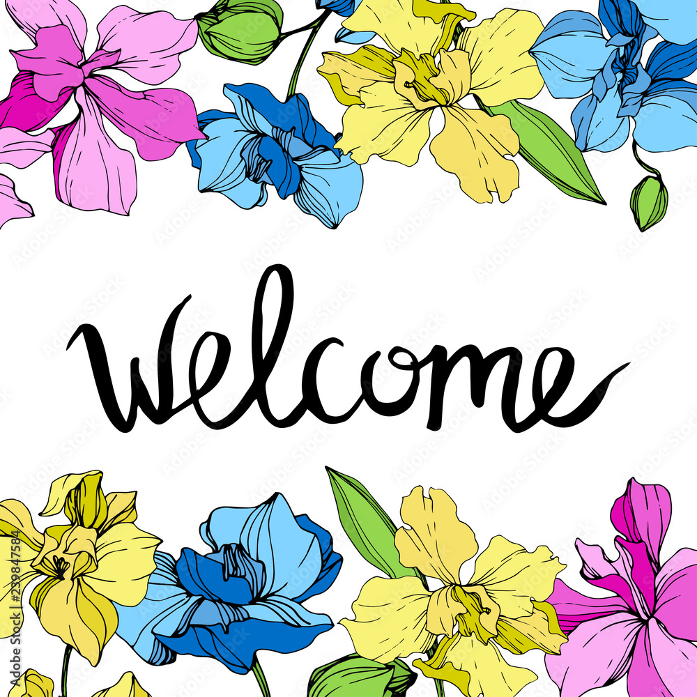 Calligraphy Flower Border Designs