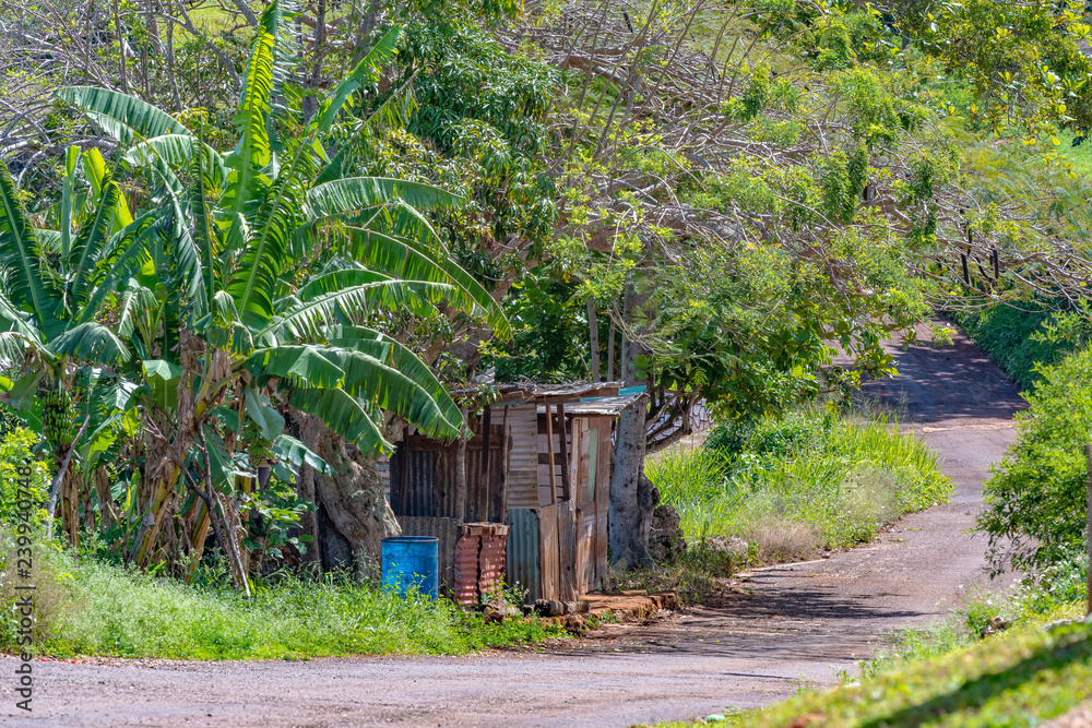 Corner Shop made of zinc and wood on the side of a narrow road through ...