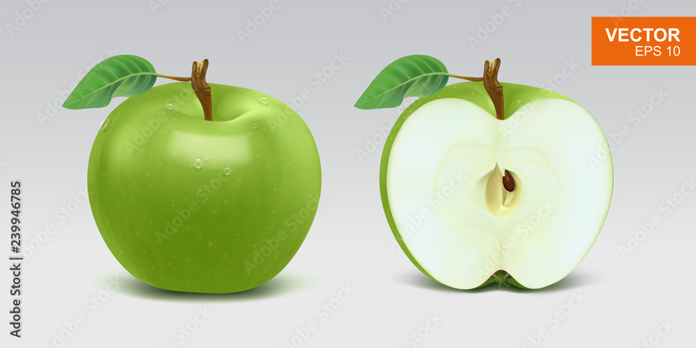 Realistic green apples vector illustration, mockup. Whole and half ...