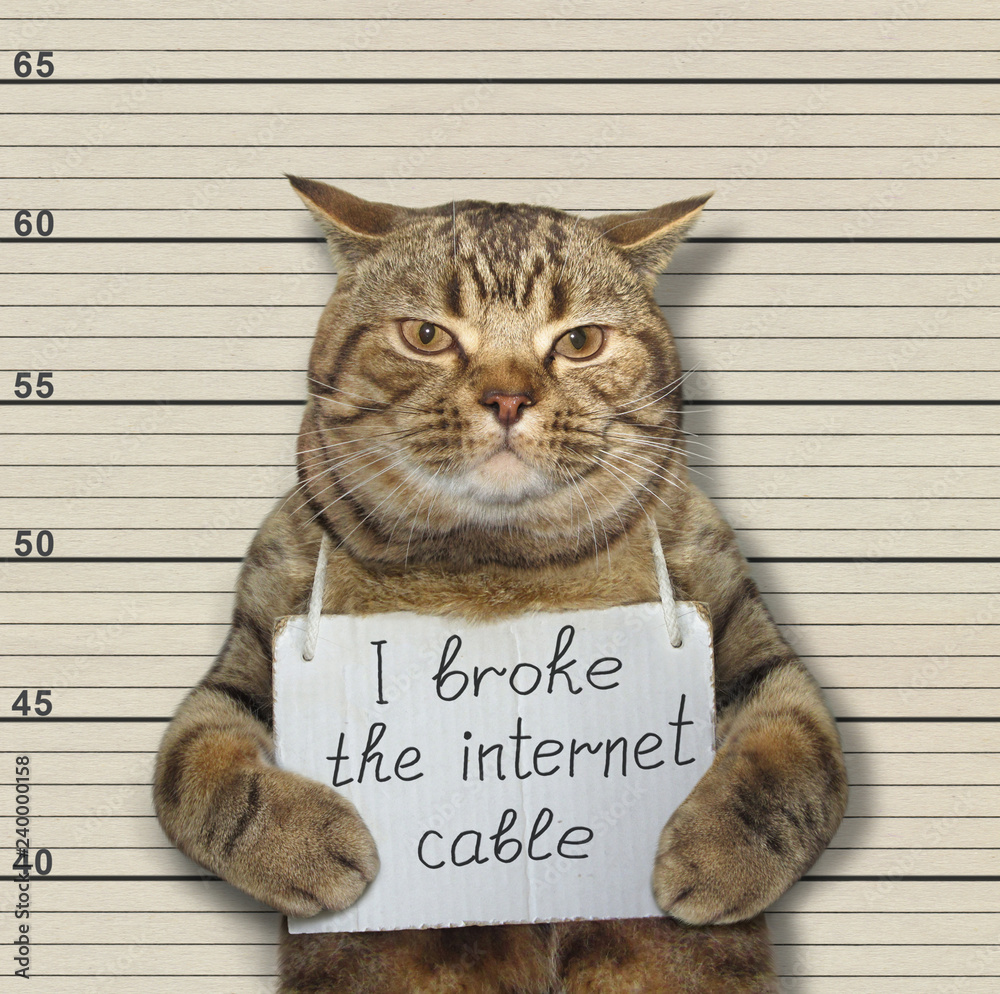The bad cat broke the internet cable. He arrested by the police for ...